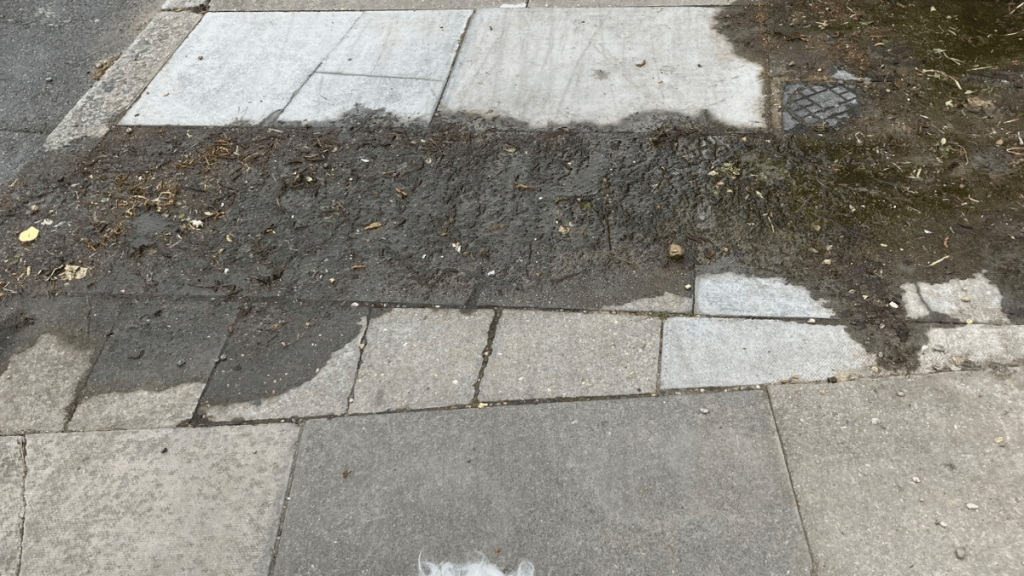 Arnulf Street Lewisham Closure May 2026 Thames Water